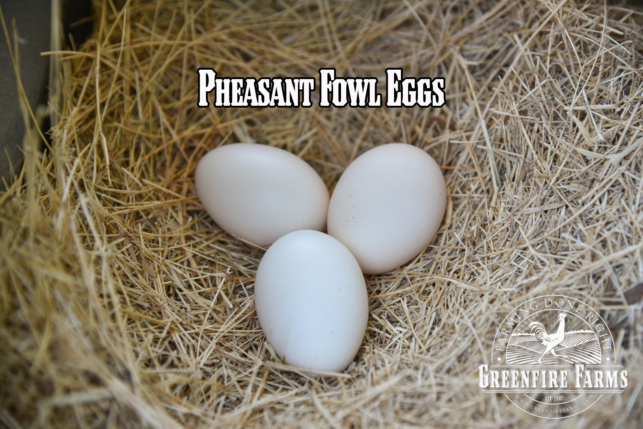 Greenfire Farms - Best Egg-Layers Assortment