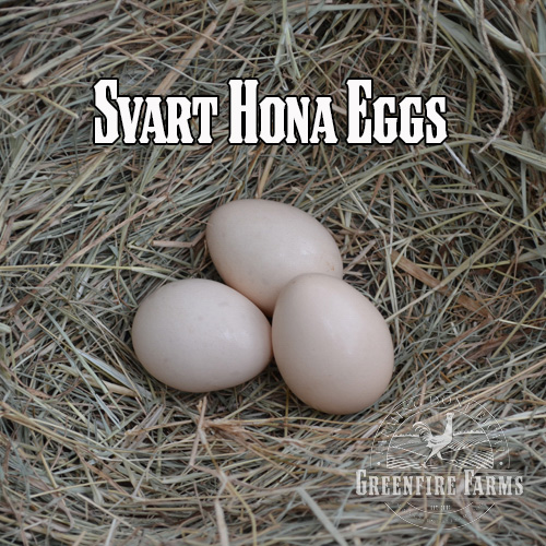 Greenfire Farms - Best Egg-Layers Assortment
